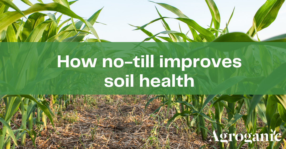 How no till farming improves soil health and saves money