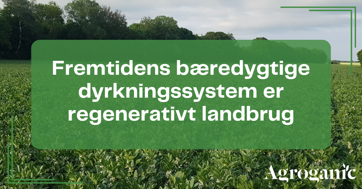 Sådan kan regenerativt landbrug løse vores problemer | Agroganic