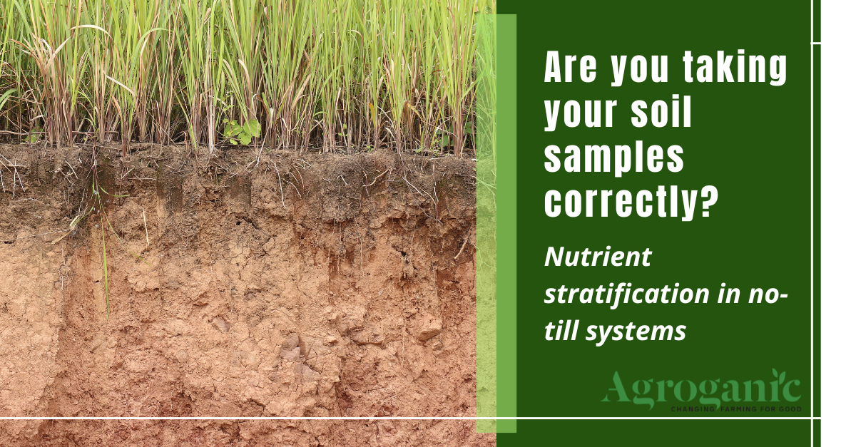 Nutrient stratification in no-till: How to take soil samples | Agroganic